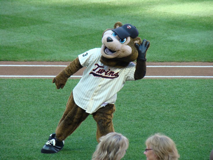 TC Bear Name And Mission: More Than a Mascot