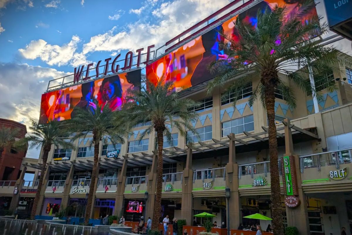 Cardinals vs 49ers Gameday Glendale Experience